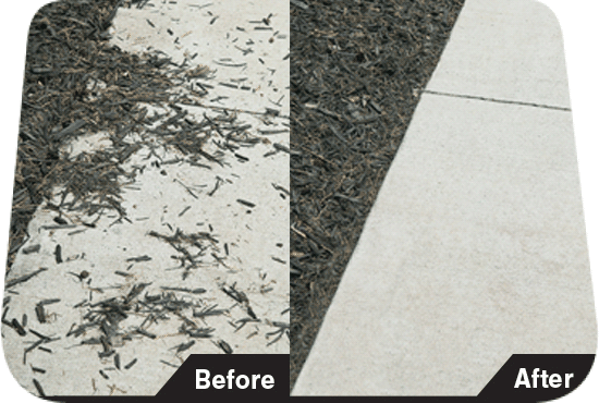 Product Focus - SRW Mulch Stabiliser