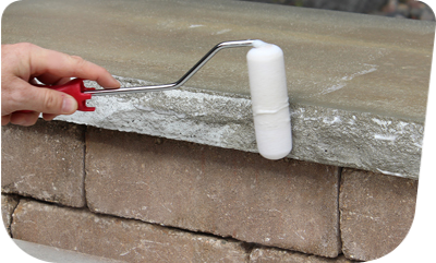 Product Focus: SRW CG Counter Guard Seal